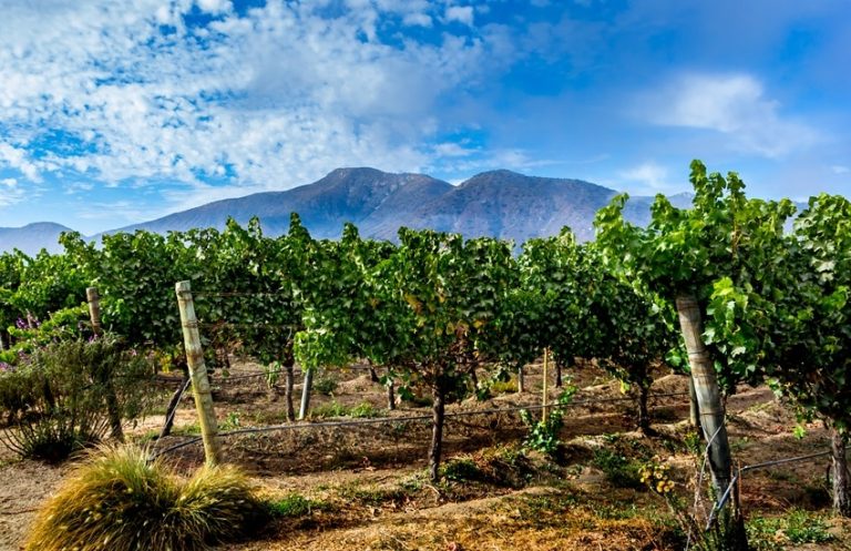 Chile Road Trip: The 5 Best Routes to Take | Totally Latin America